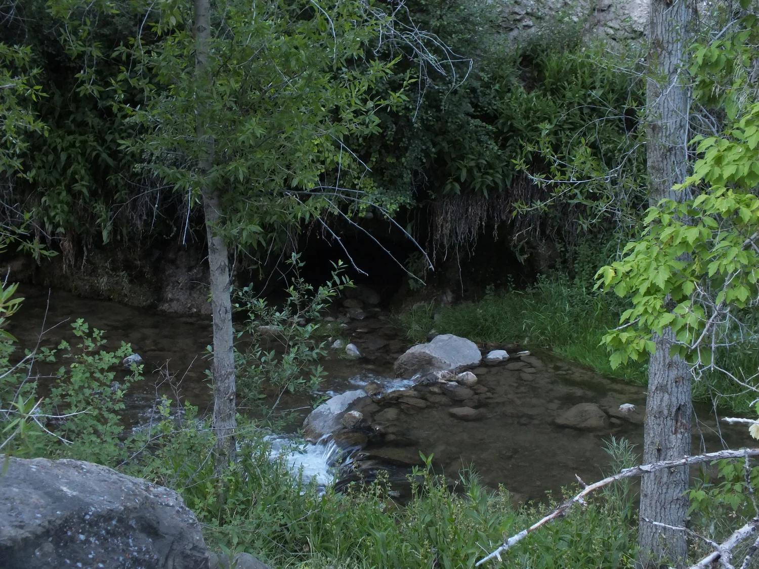 Dripping Rock Hike — ScouterLife