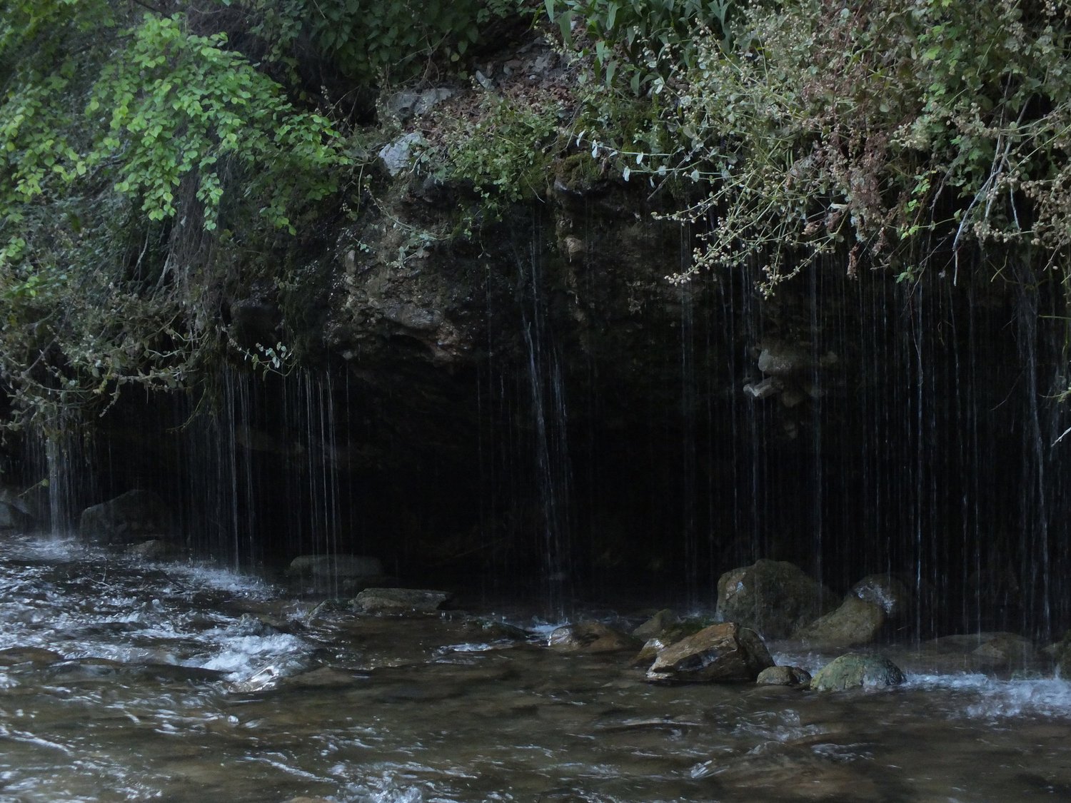 Dripping Rock Hike — ScouterLife