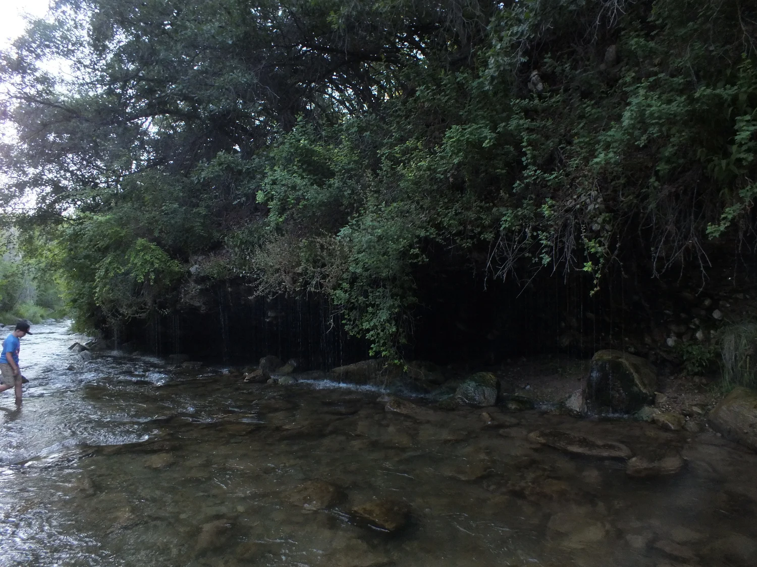 Dripping Rock Hike — ScouterLife