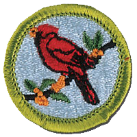 Bird Study Merit Badge — ScouterLife