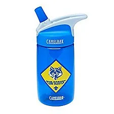 Cub Scout Six Essentials — ScouterLife