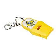 Cub Scout Six Essentials — ScouterLife