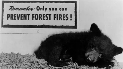 The Story of Smokey Bear — ScouterLife