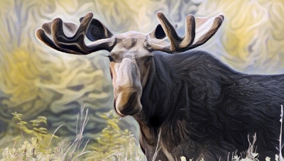 Great Big Moose — ScouterLife