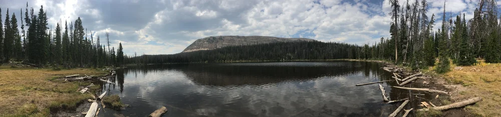 About Us — ScouterLife