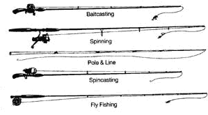 Different Reels and Rods ScouterLife