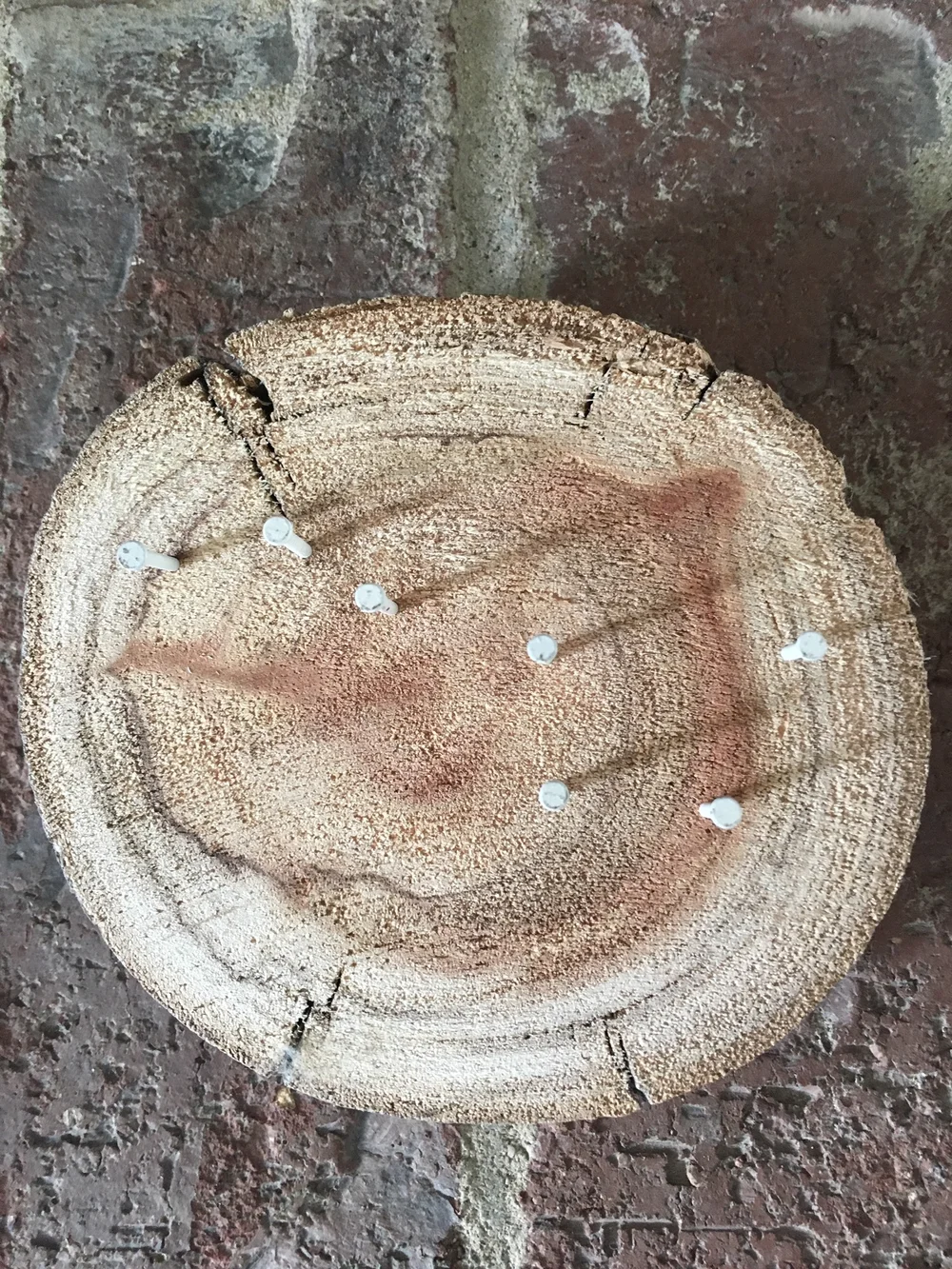 Homemade Big Dipper — ScouterLife