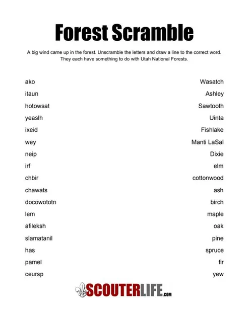 Forest Scramble — ScouterLife