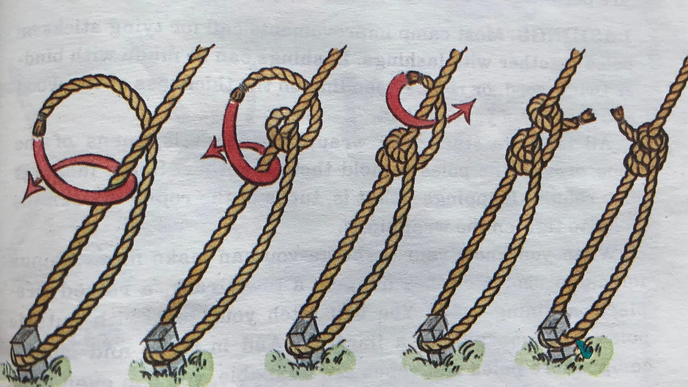 Taut-Line Hitch — ScouterLife