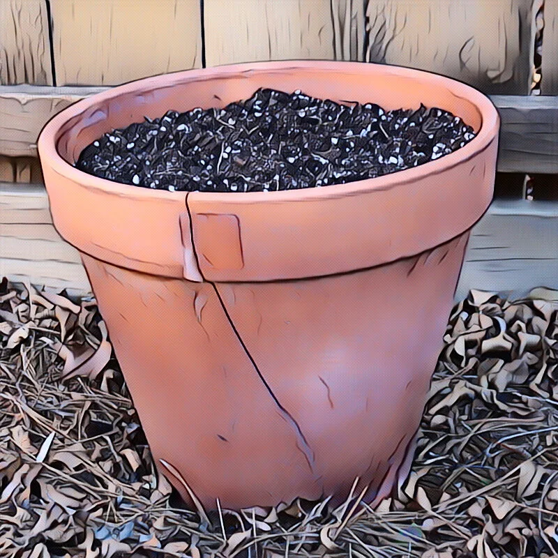 2021-21 The Emperor's Seeds — ScouterLife