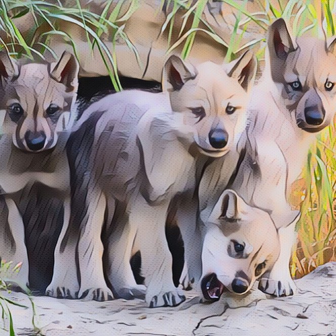 Mowgli Goes To Pack Meeting — ScouterLife