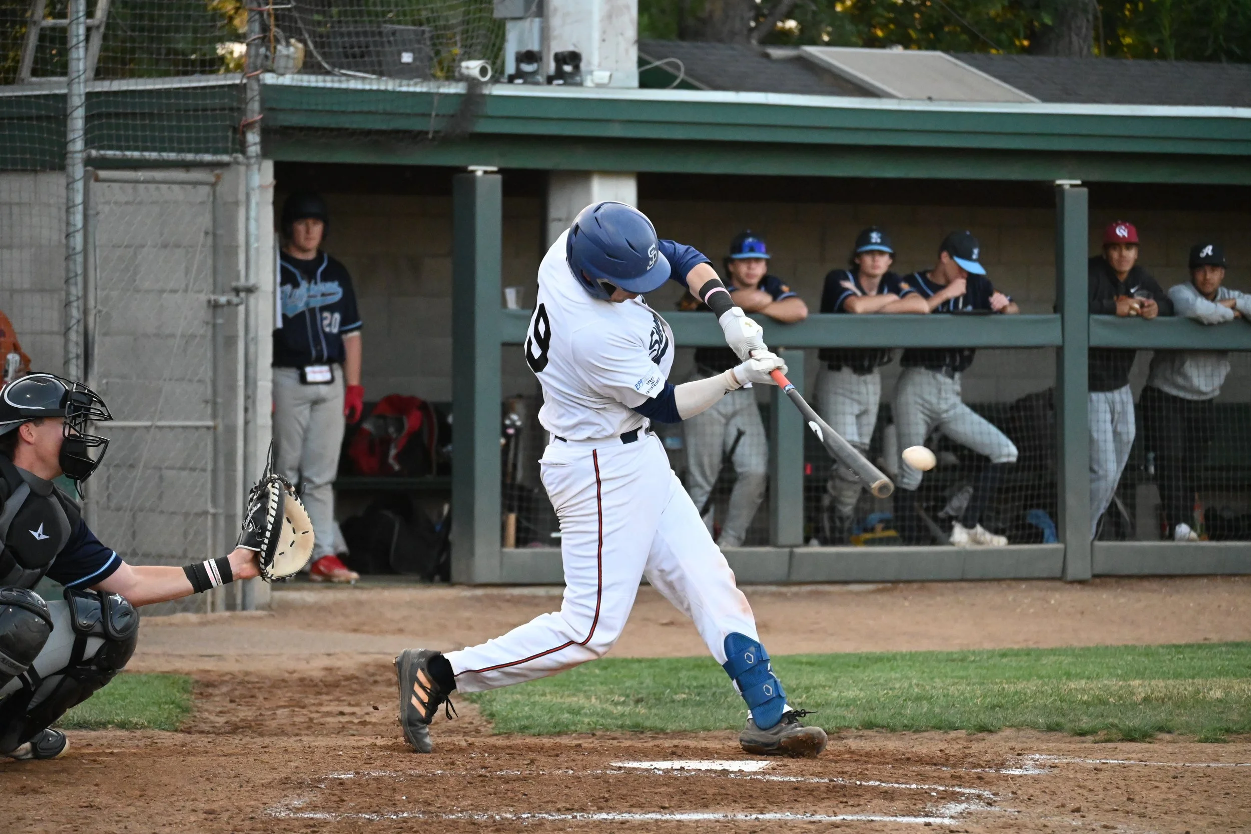 Sonoma Stompers Baseball