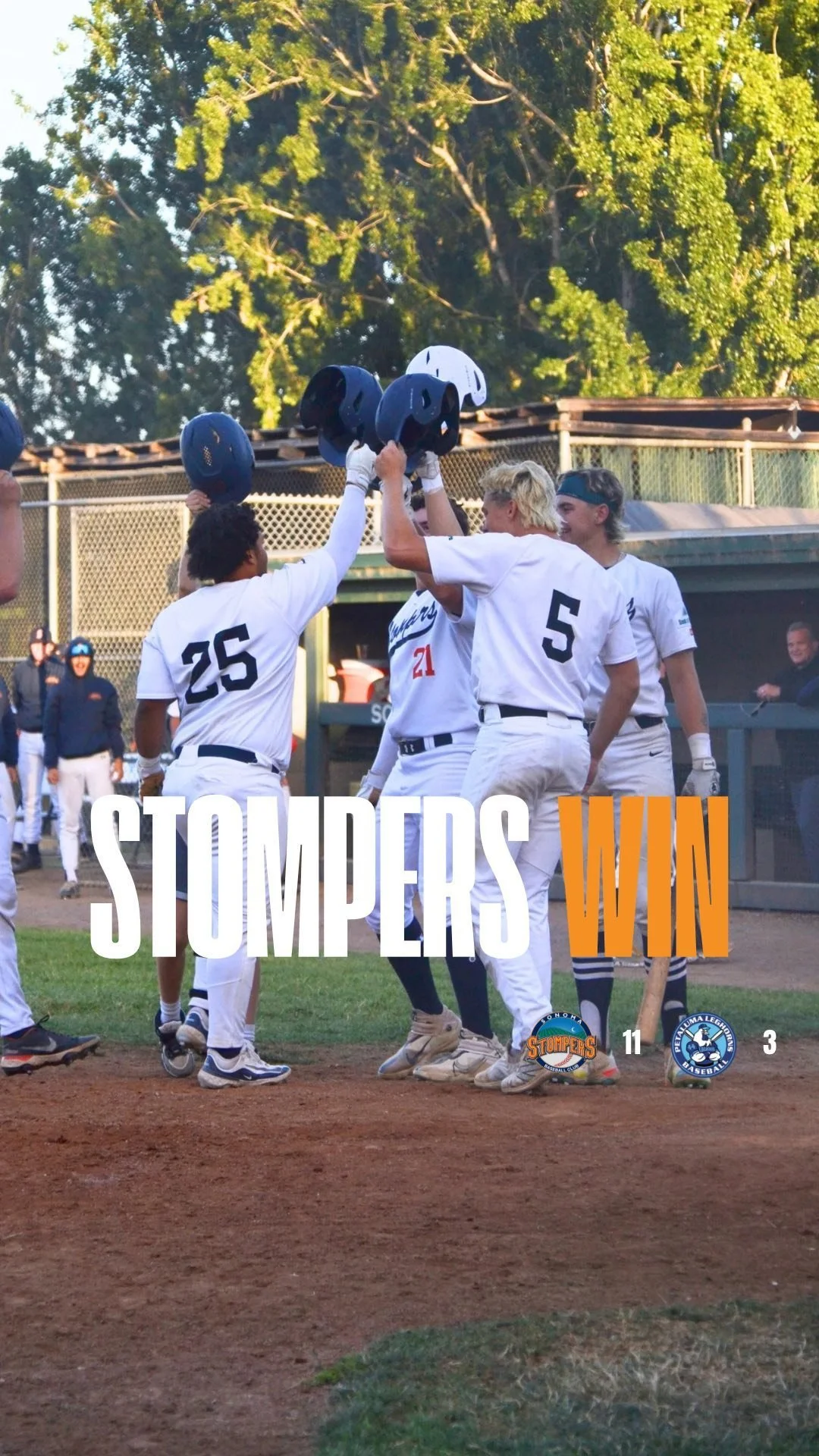 Sonoma Stompers Baseball