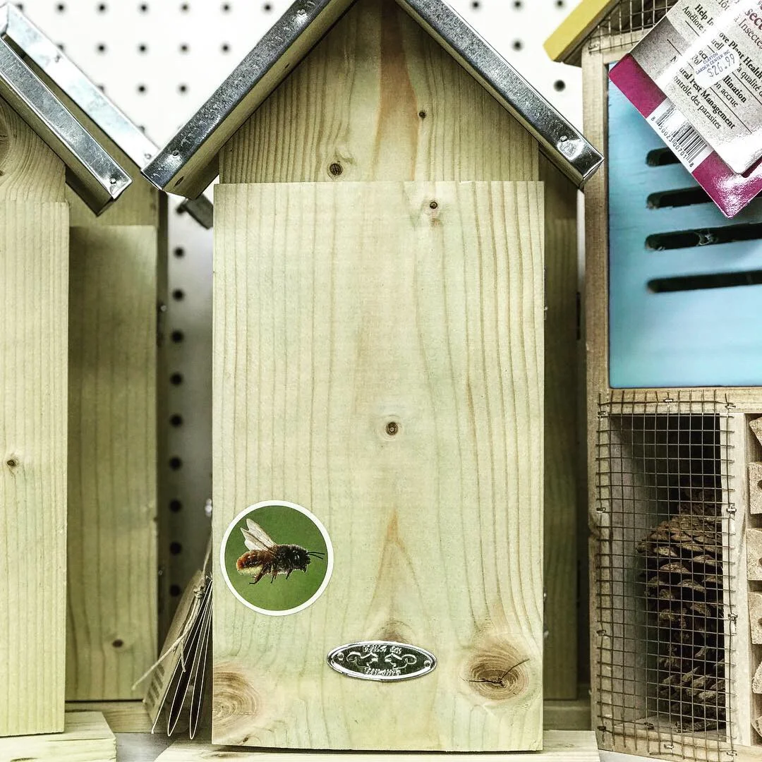 Pollinator / Native Program — Clayton Garden Center