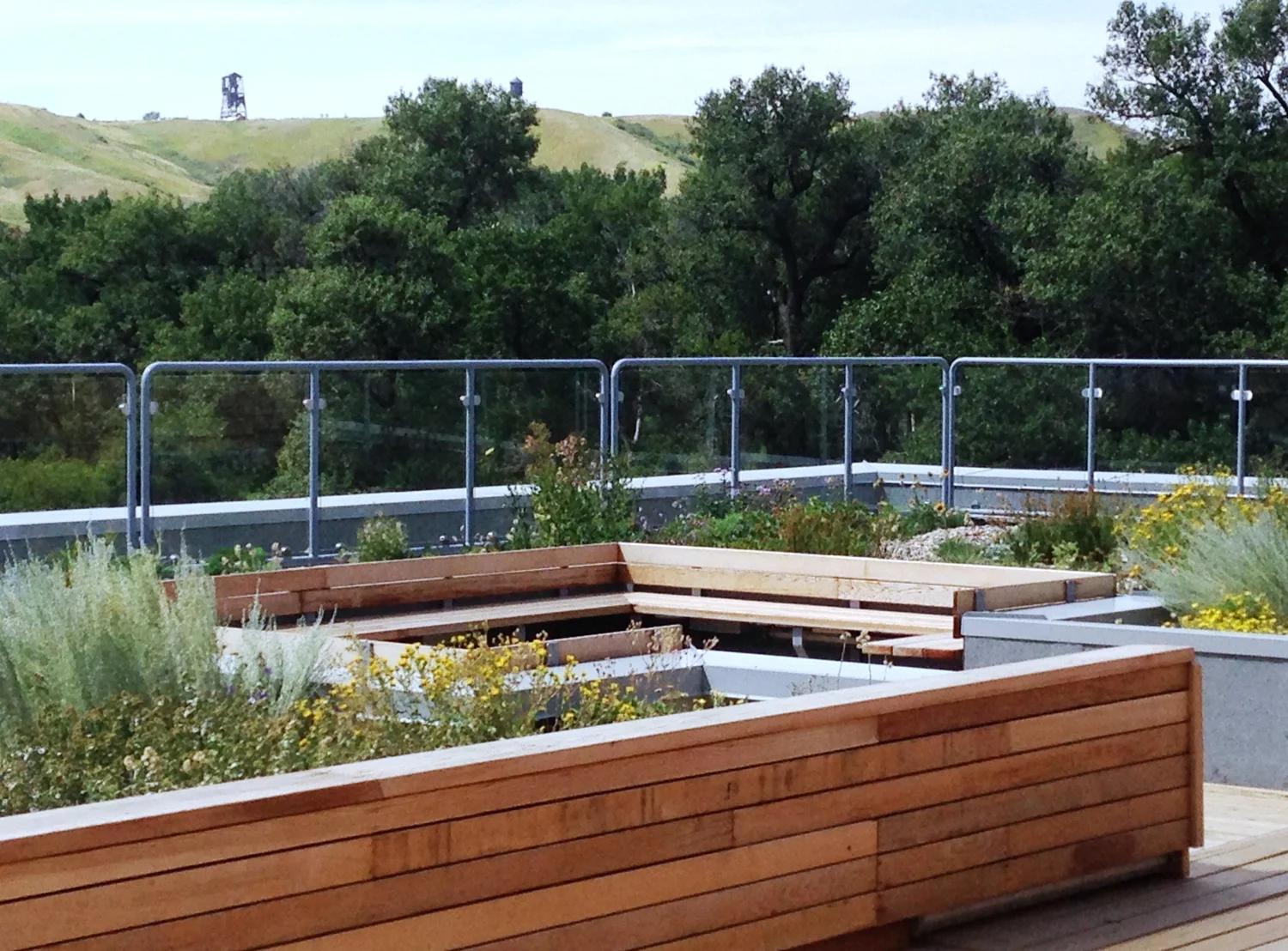 Growing support for Prairie Living Roof at Lethbridge’s Nature Centre ...