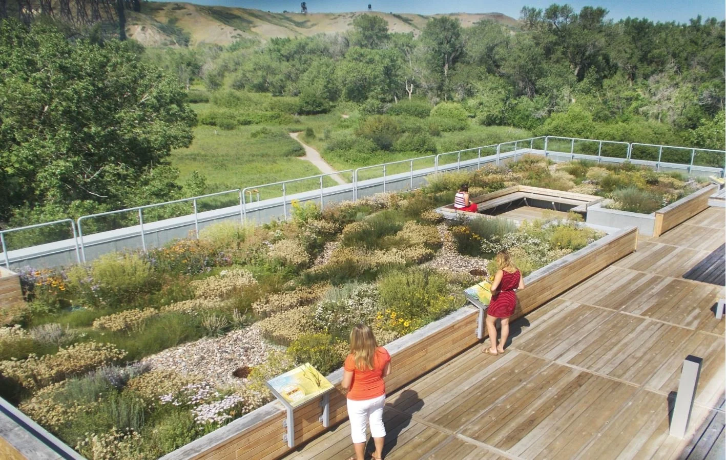 Growing support for Prairie Living Roof at Lethbridge’s Nature Centre ...