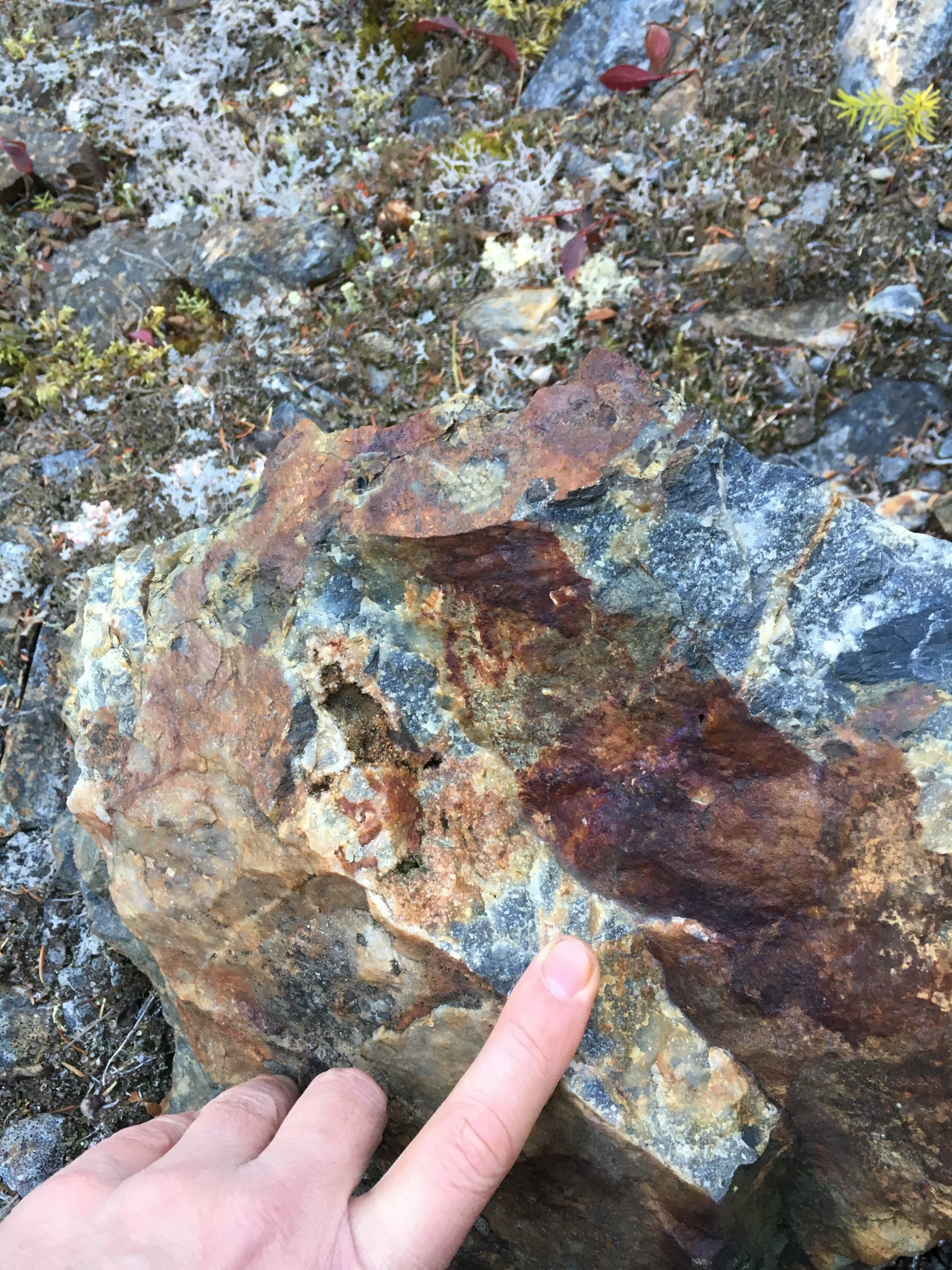 Projects — Grassroots Prospecting & Mineral Prospect Generation