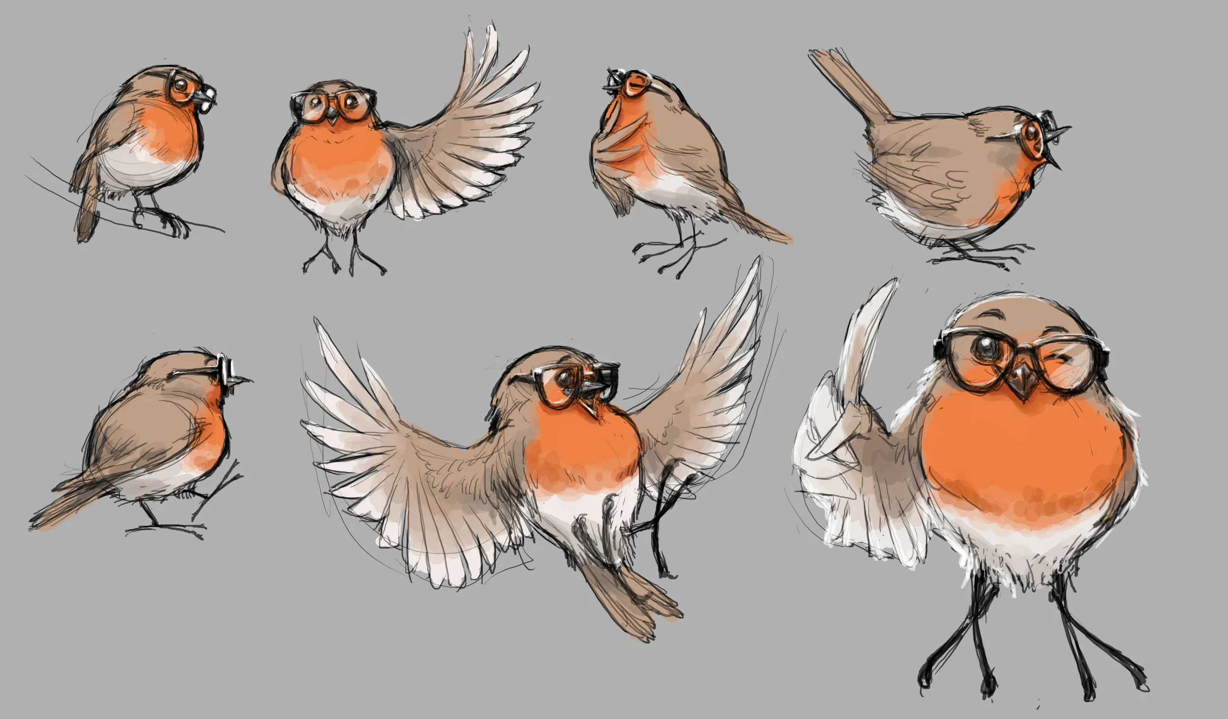 Bird Character Design