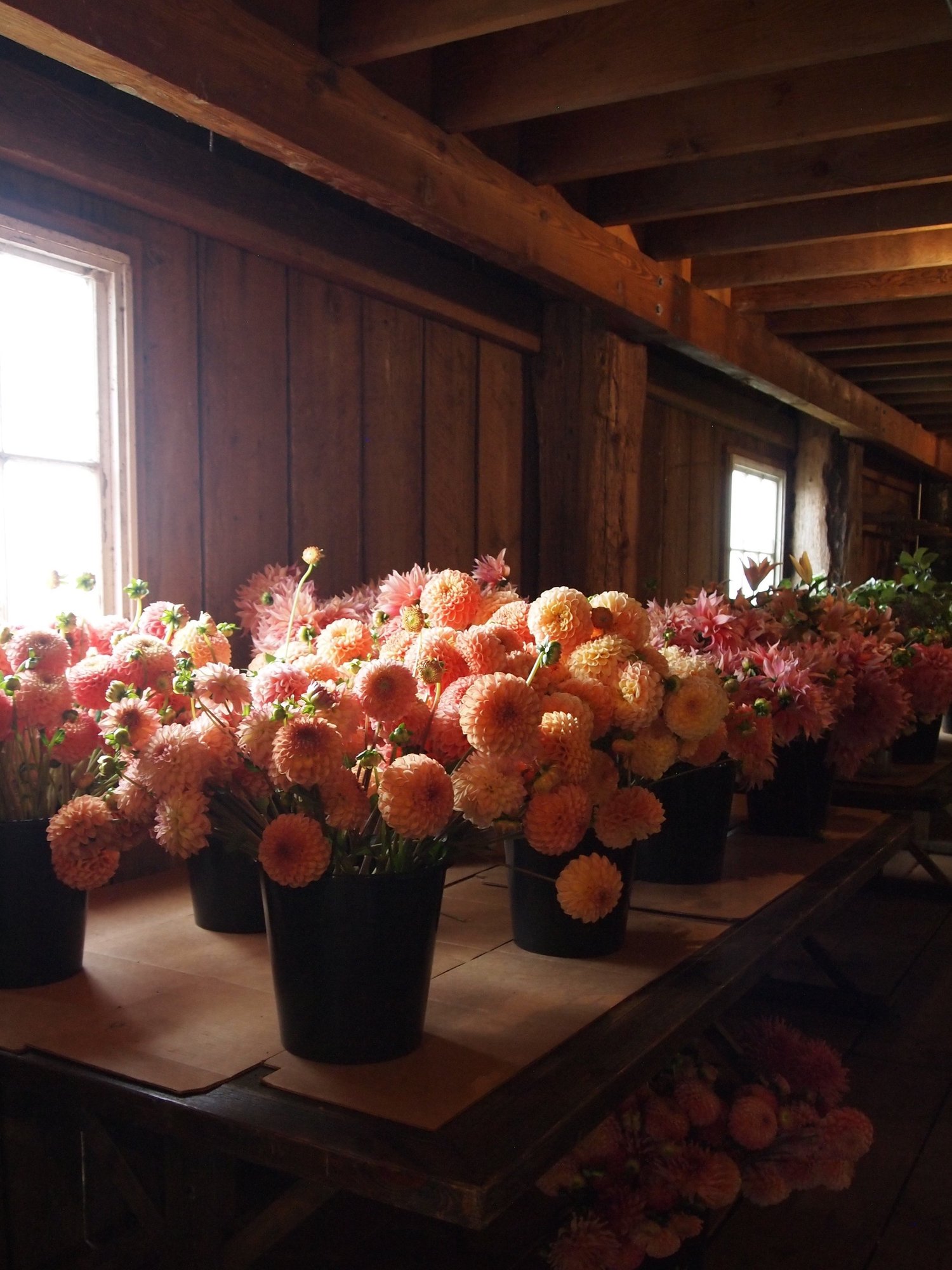 Finding yourself on the farm. — Fern & Frond Floral Studio | Kamloops ...