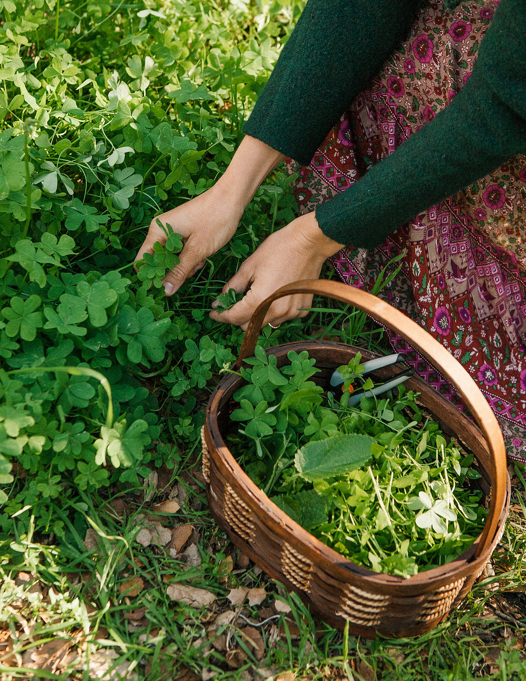 Respectful Foraging — Women's Heritage