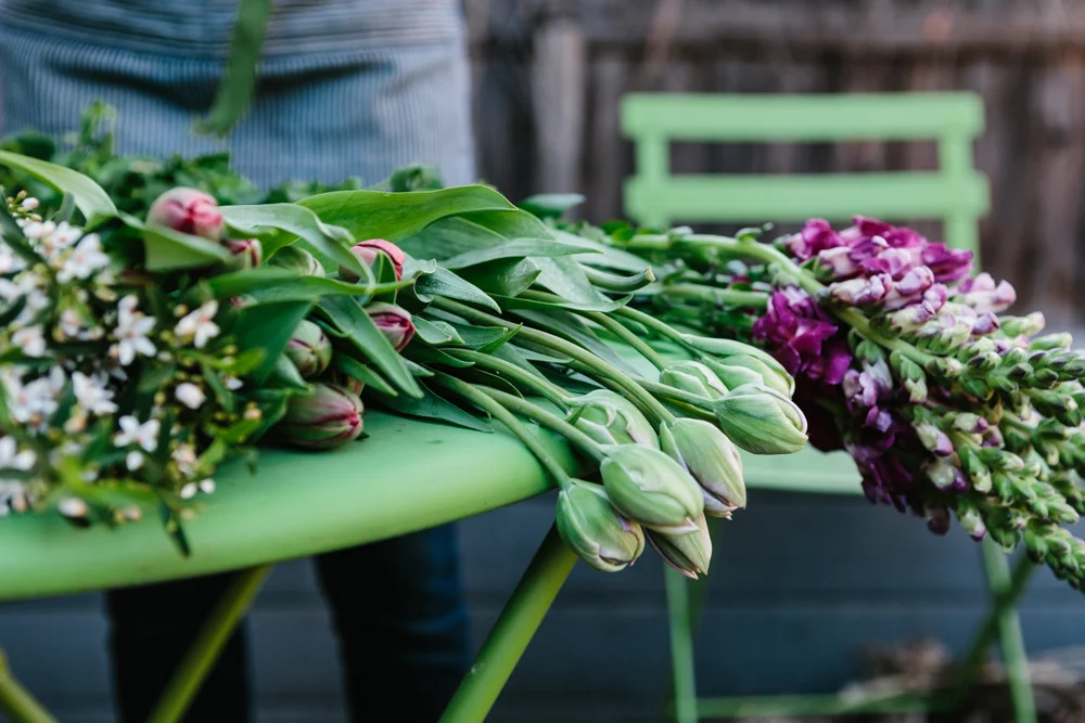 Frances: Florist + Stylist — Kimberley Hasselbrink Photography