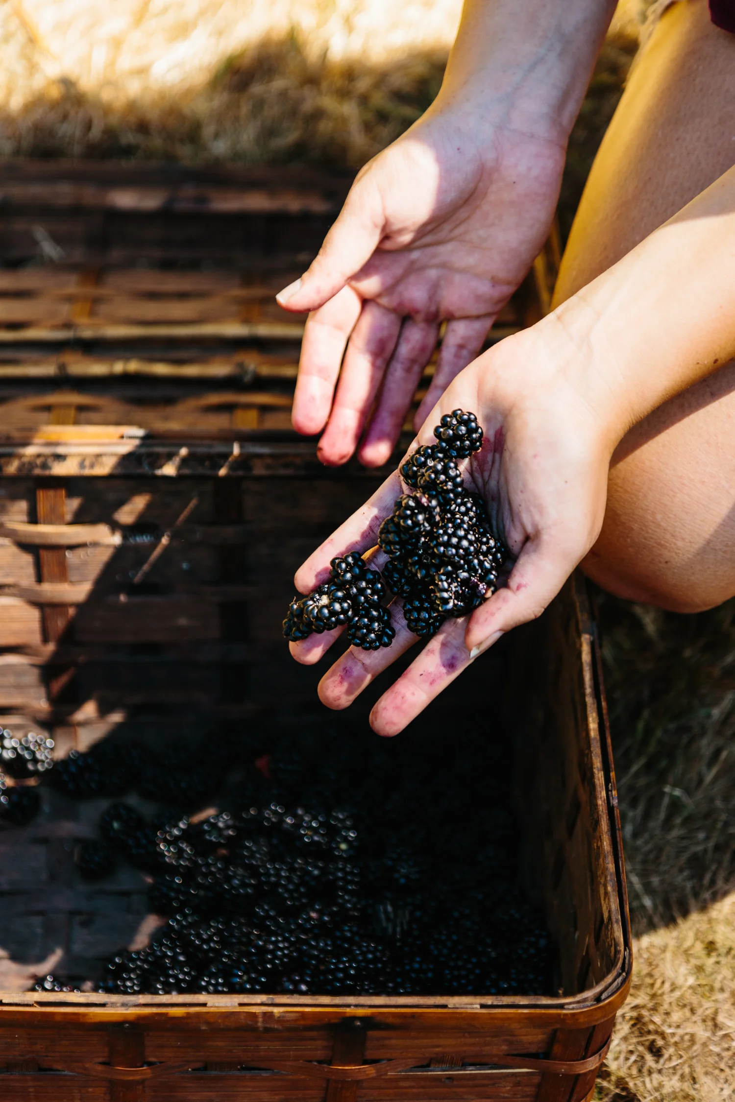 Demetria: Baker + Artist — Kimberley Hasselbrink Photography