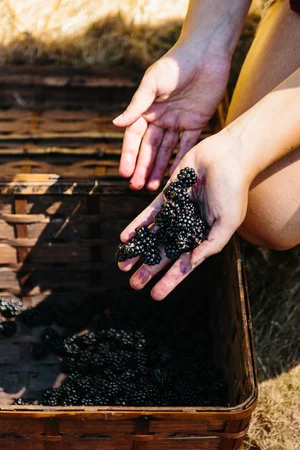 Demetria: Baker + Artist — Kimberley Hasselbrink Photography