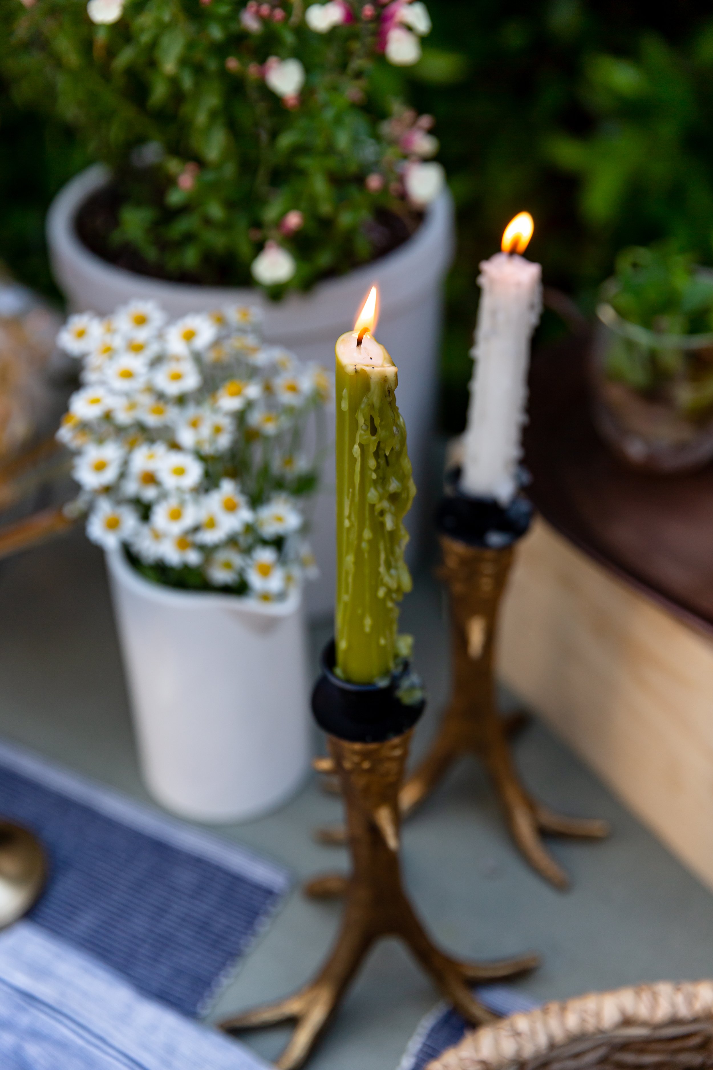 How to Host a Pollinator Party: 5 Essentials for a Dreamy, Buzz-Worthy ...