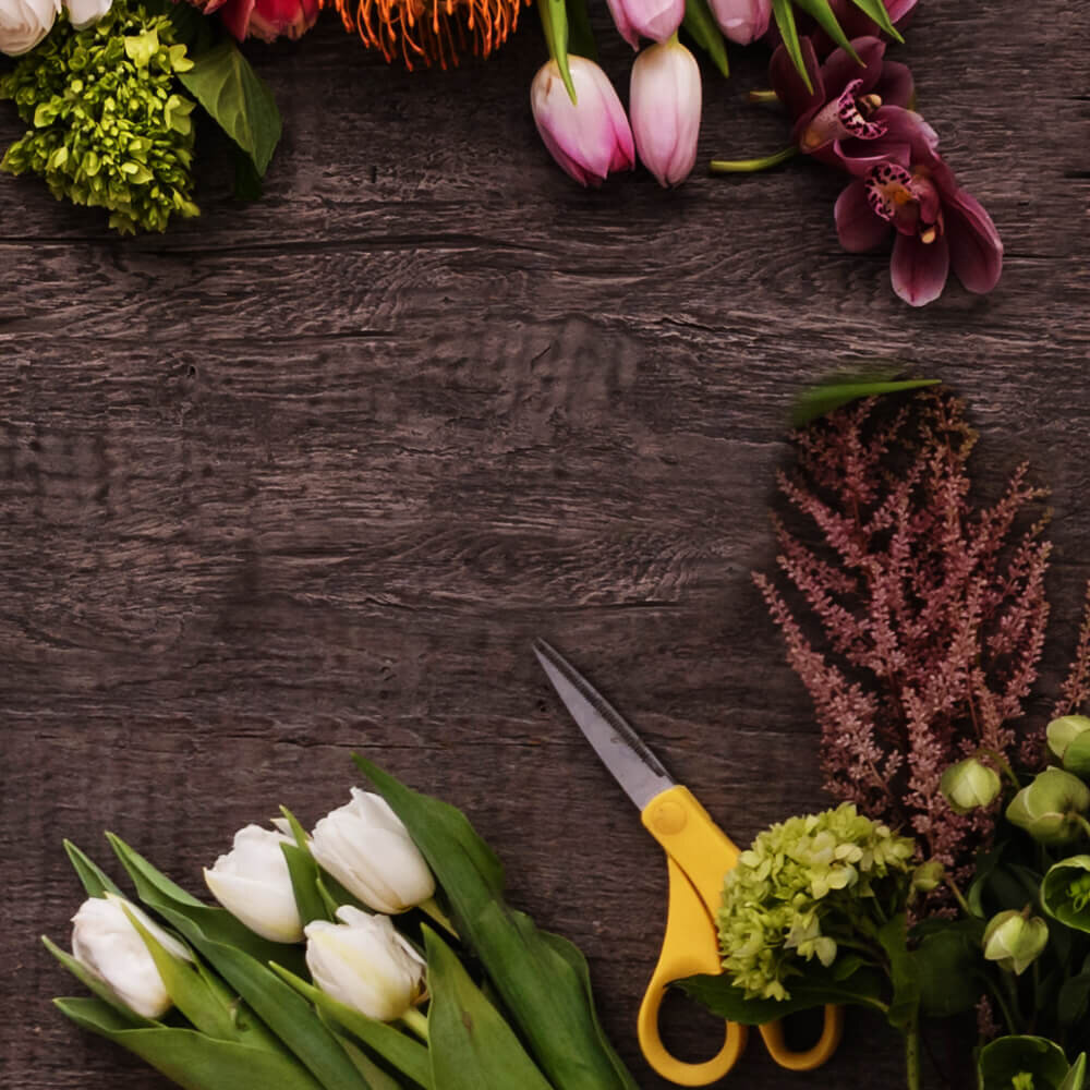 Green Hydrangea Flowers – Local DC Florist – Same Day Delivery