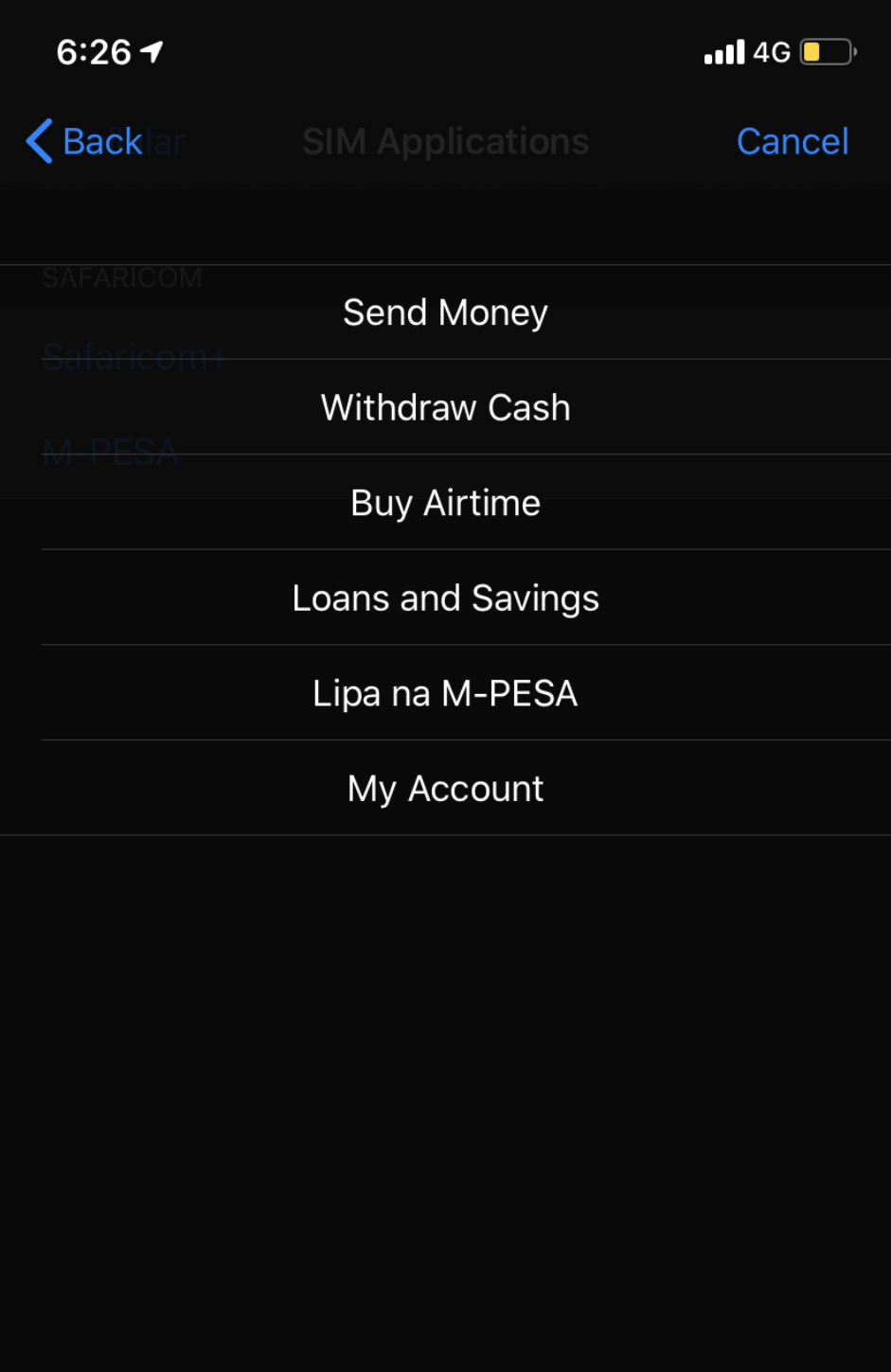 The Samburu Project — A Blog Post by Matthew Cole: Mobile Money