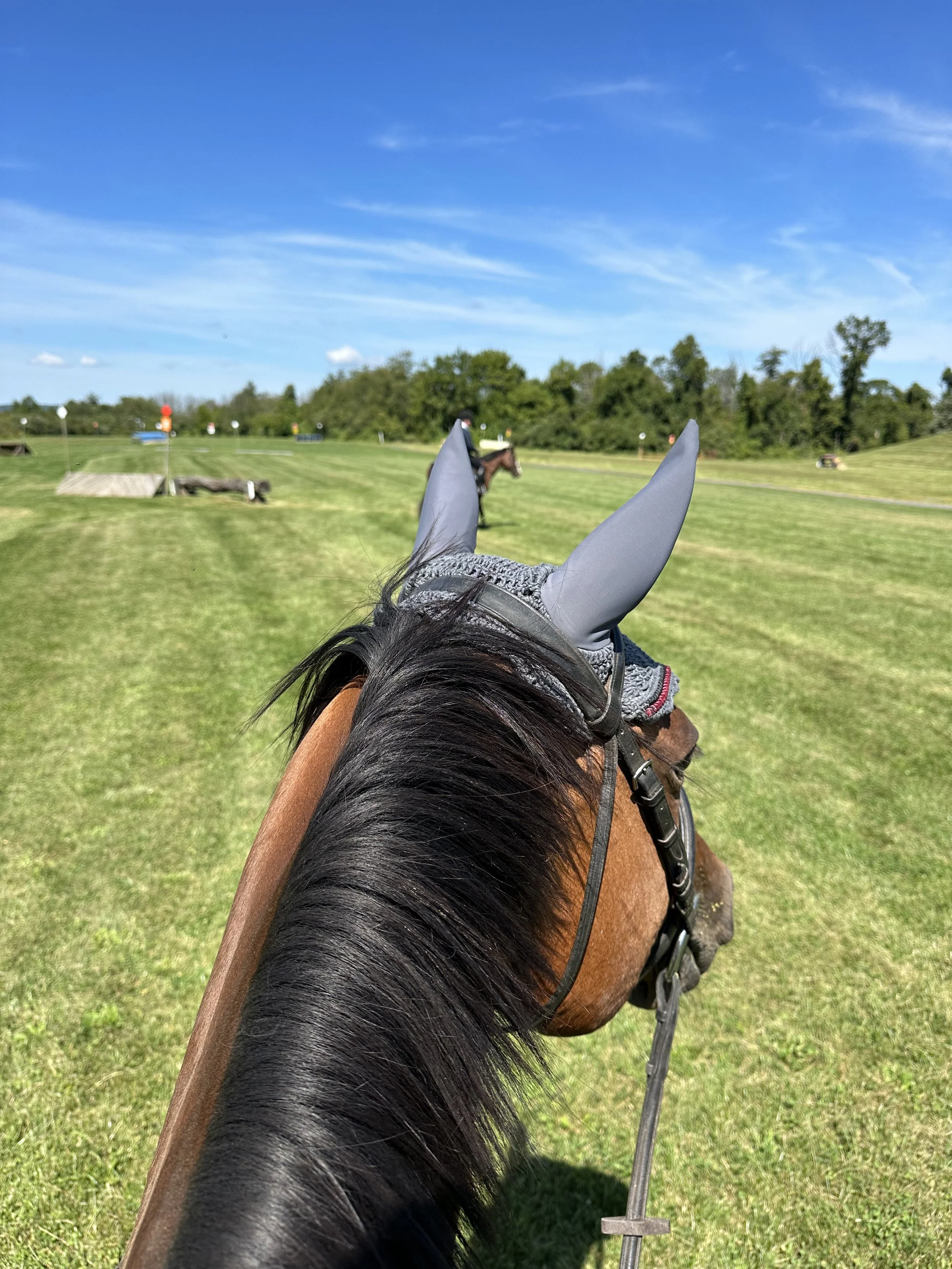 For Sale/Lease — Red Rox Farm