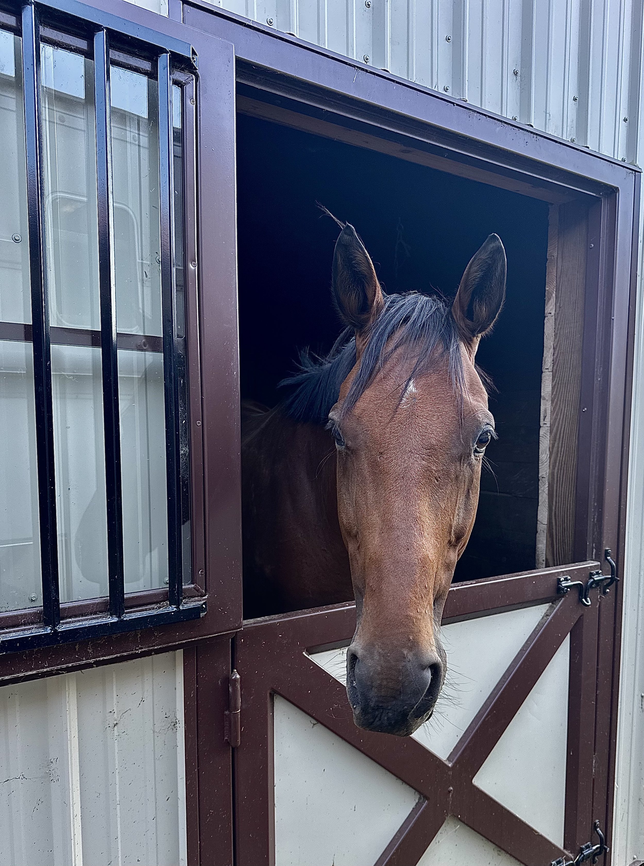 For Sale/Lease — Red Rox Farm
