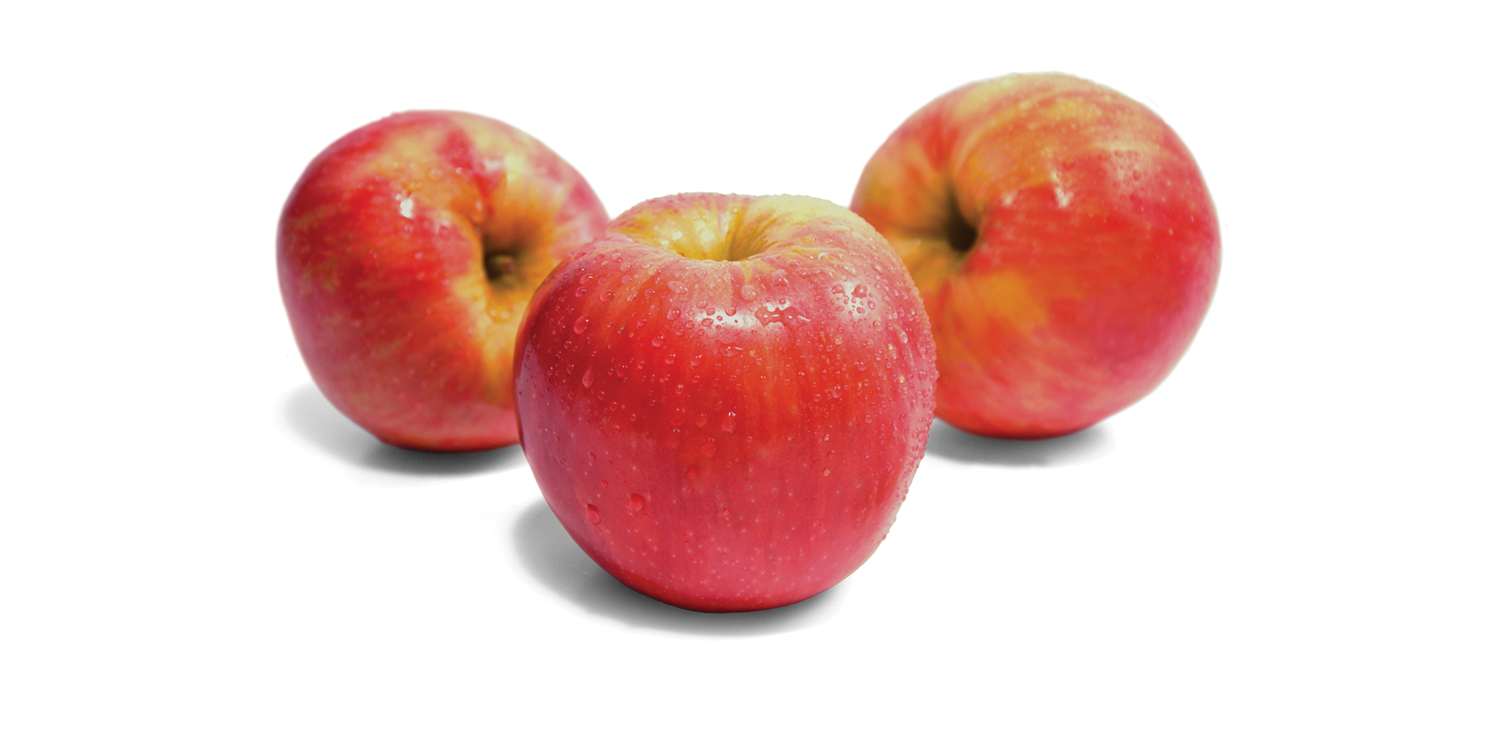 Apples — Gee Whiz | Premium Fruit Grower