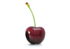 Cherries — Gee Whiz | Premium Fruit Grower