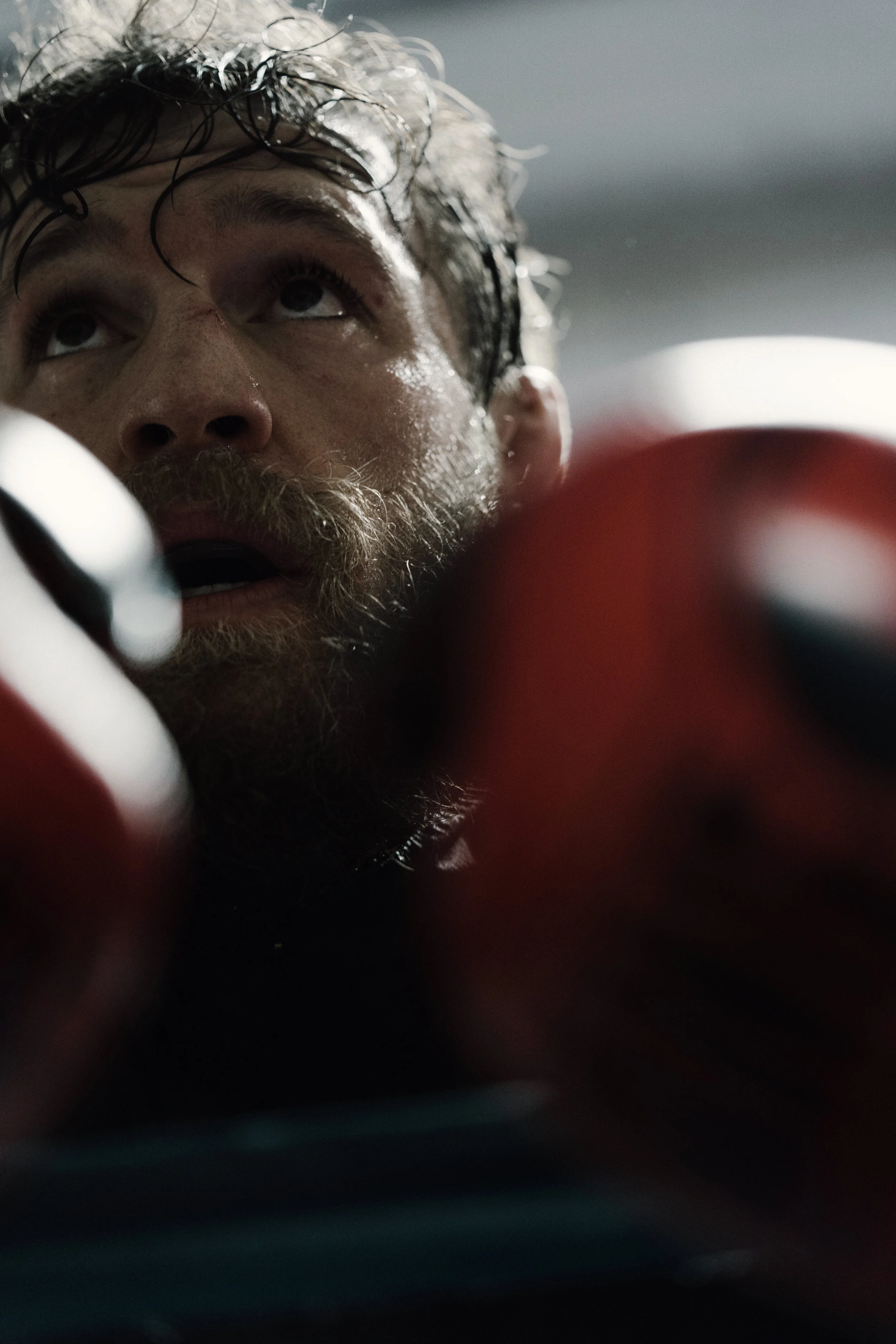 Conor McGregor — Ginger Beard Photography