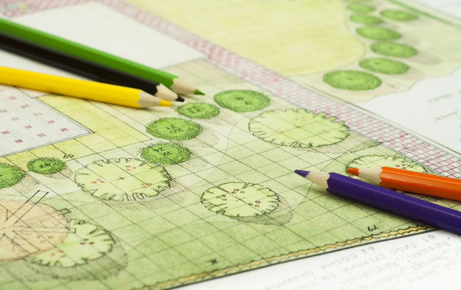 What Landscape Architects Can Do for Your Outdoor Space | Lizard ...