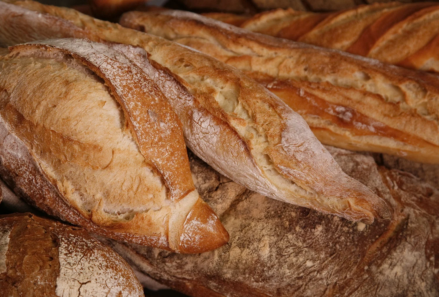 BOULANGERIE JADE - BREADS (NEW)