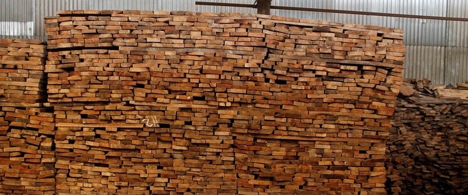 About Us — Indus Valley