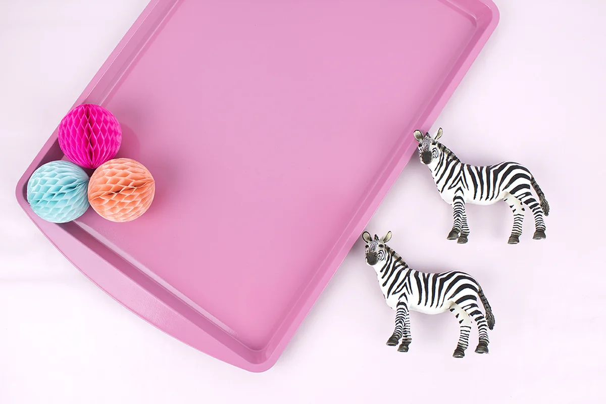 DIY Zebra Party Tray — Well Kept Chaos