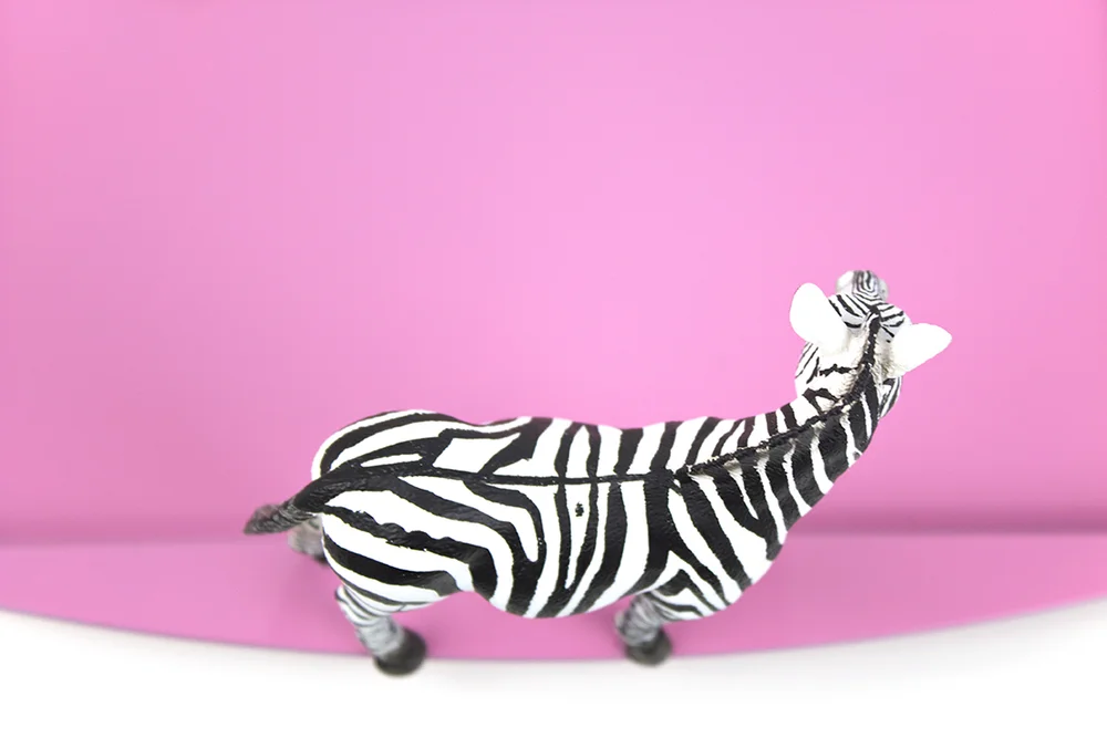 DIY Zebra Party Tray — Well Kept Chaos