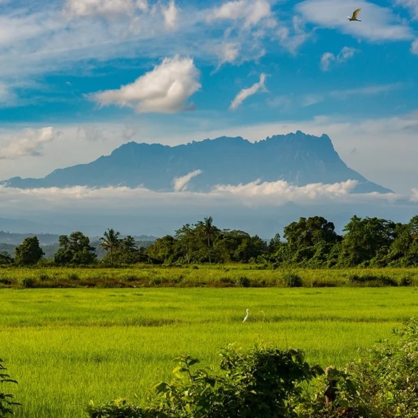 Past Exhibitions — Noyes Museum of Art