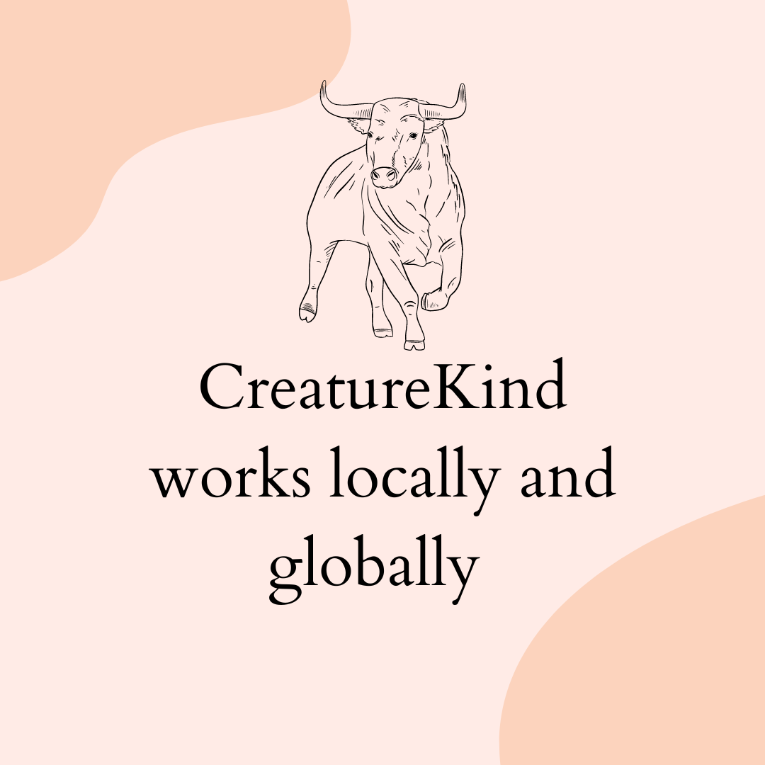 Giving Tuesday 2022 — CreatureKind