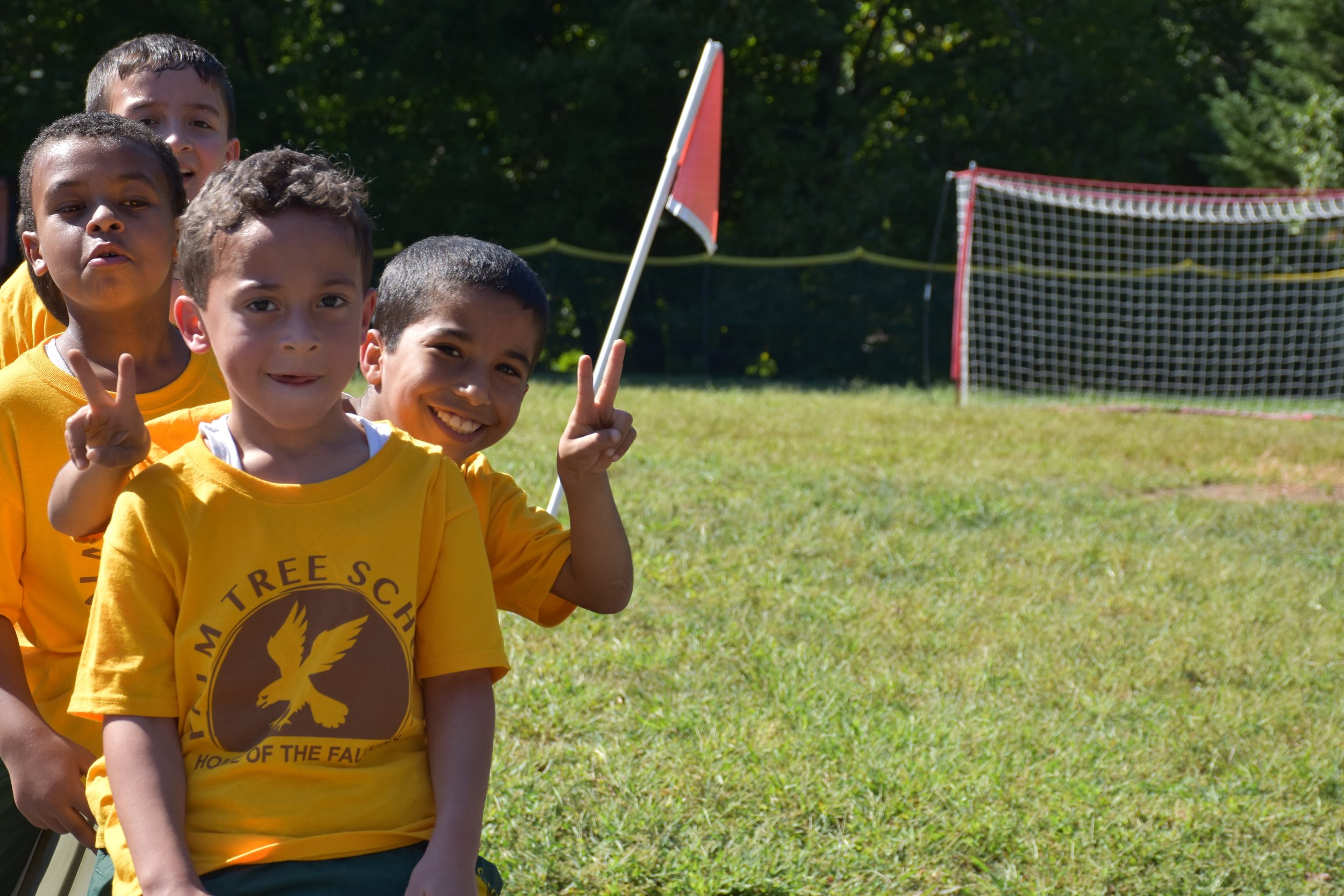 Physical Education — Palm Tree School