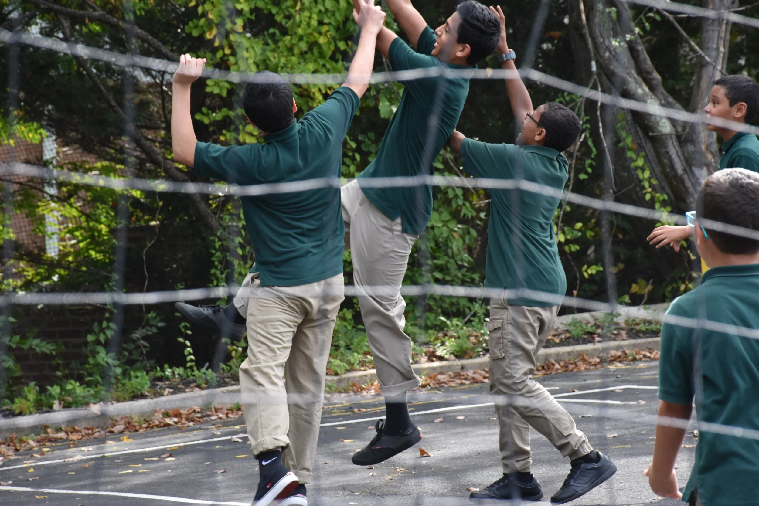 Middle School — Palm Tree School