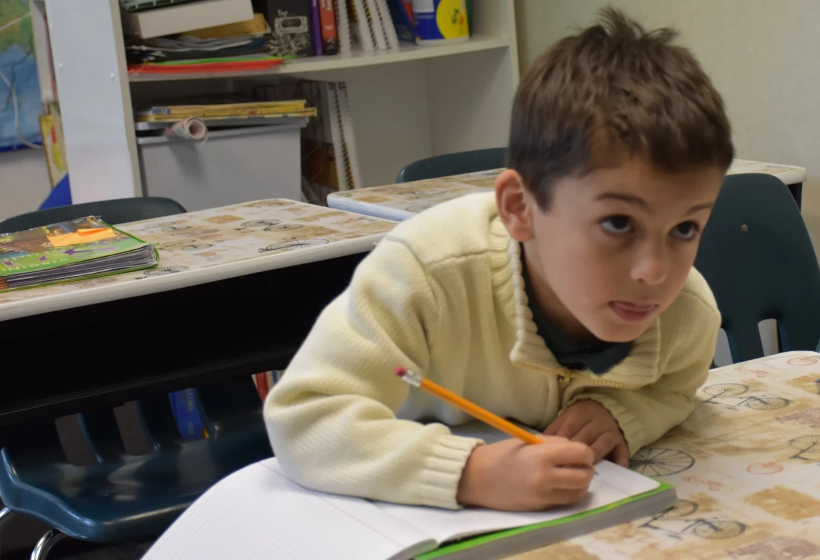 Elementary School — Palm Tree School