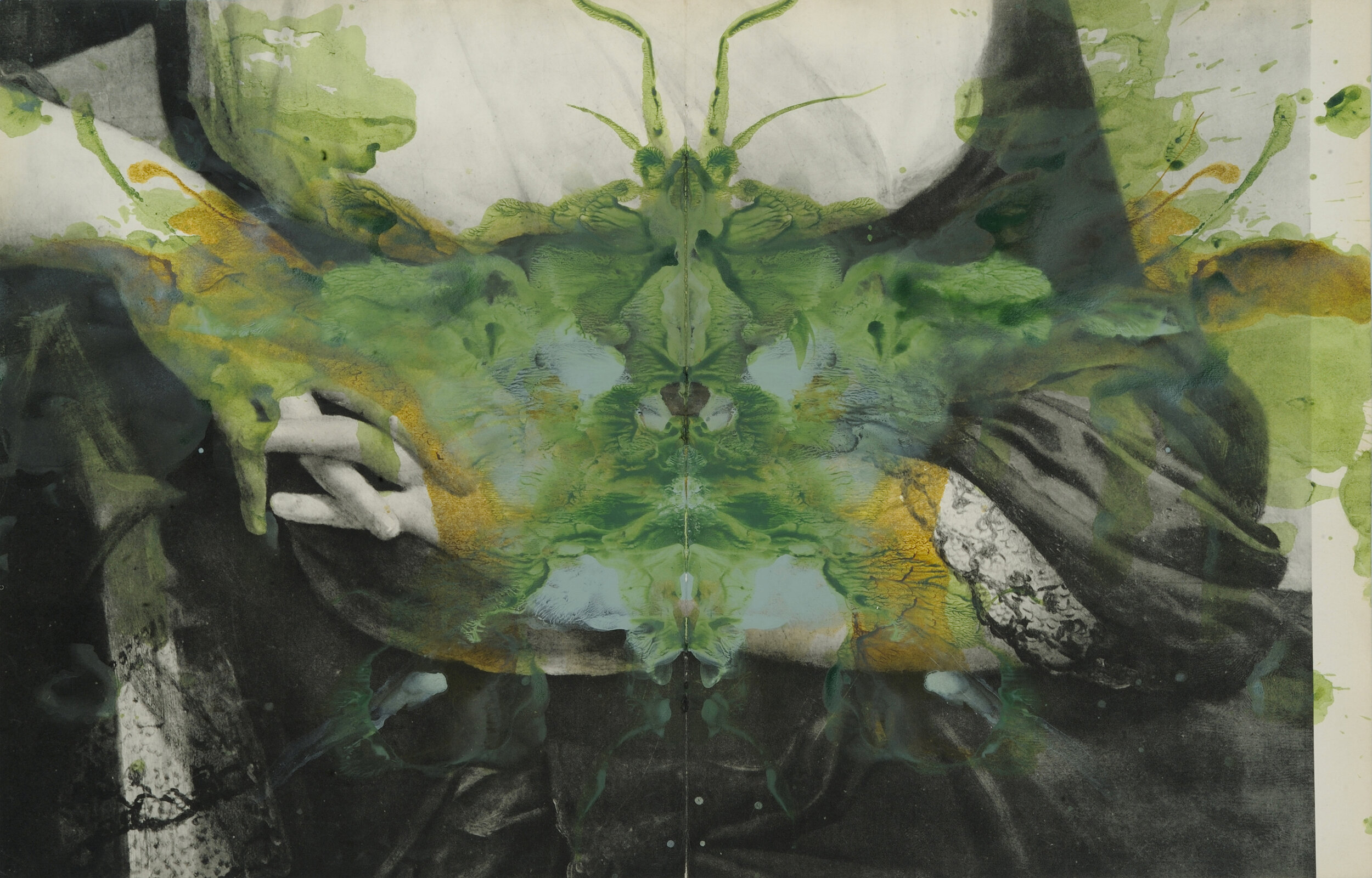 Photographic — Julie Wolfe | Artist