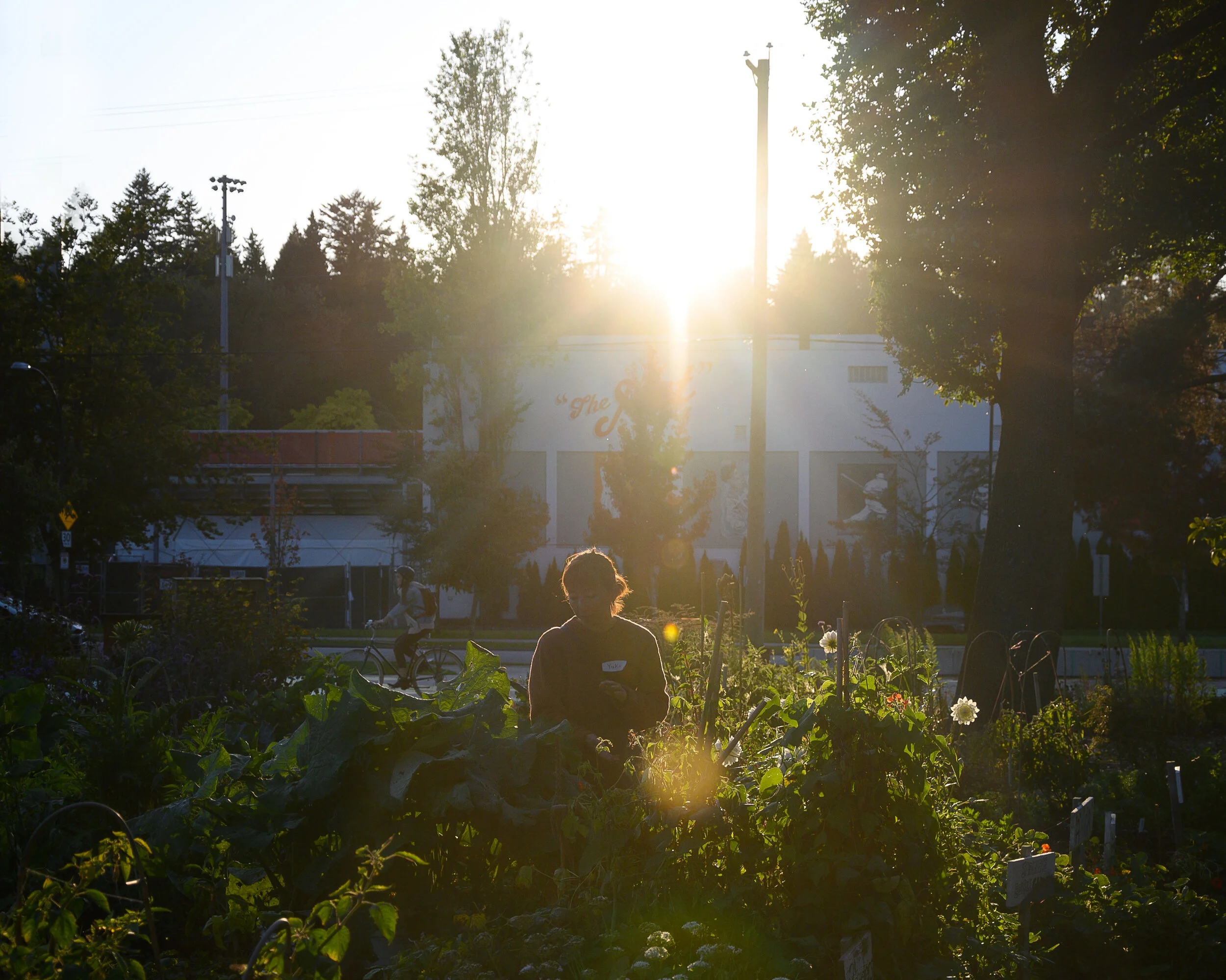 Riley Park Community Garden