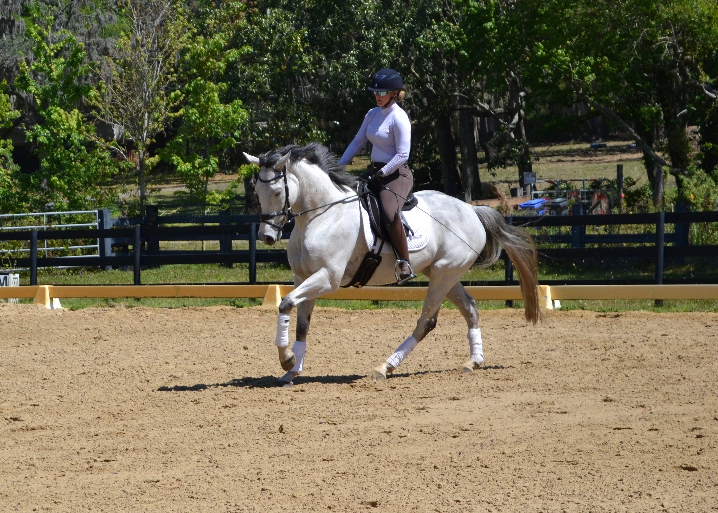 Sales — Annwyn Equestrian Center