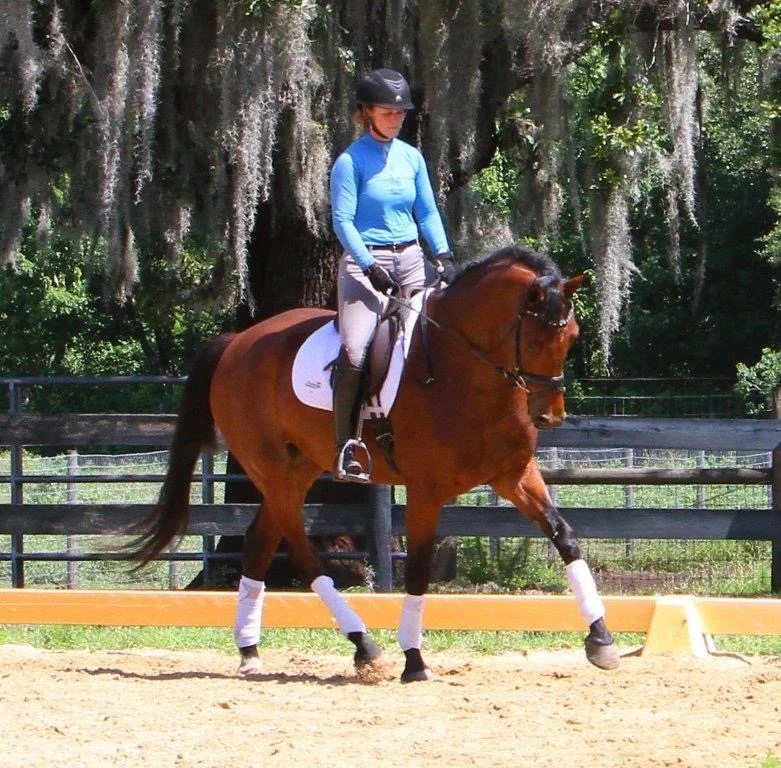 Sales — Annwyn Equestrian Center