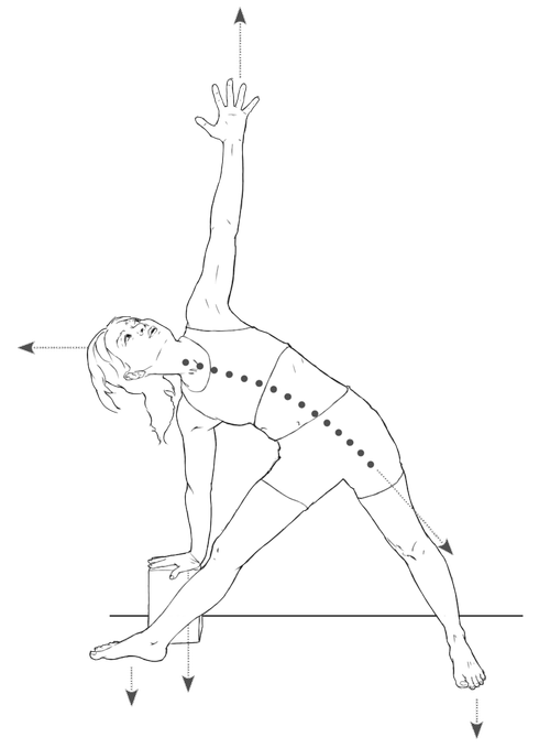 Personal Biotensegrity — Heal Your Posture — Mary Bond
